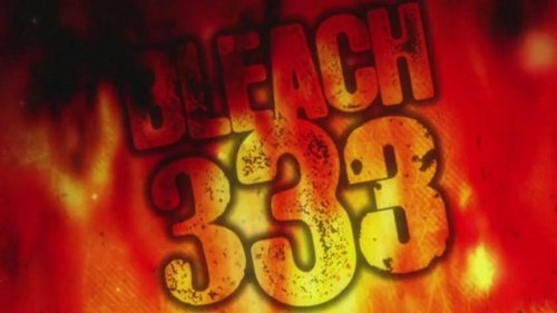 Assistir Bleach 1 Episodio 333 Online - Meus Animes